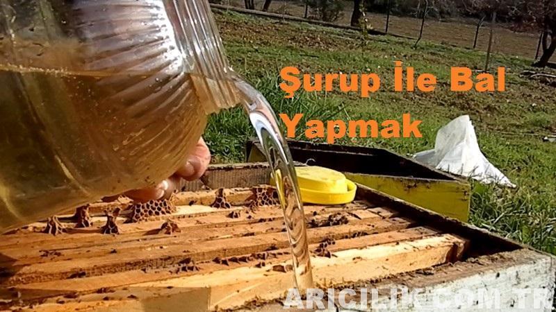 Şurup İle Bal Yapmak - Sıfırdan Arıcılık