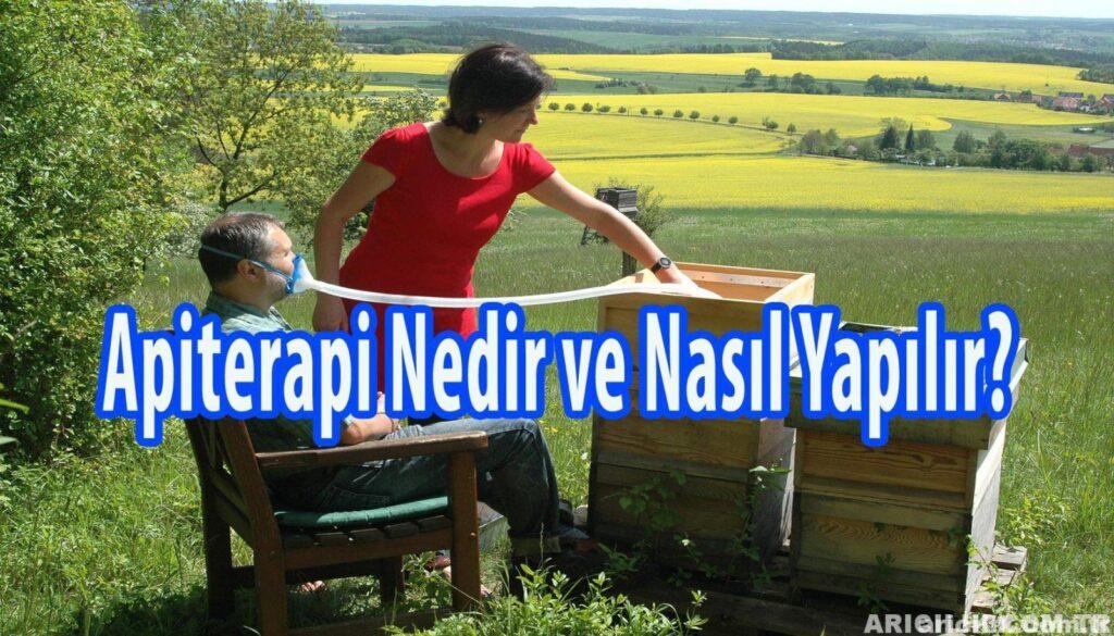 Apiterapi Nedir ve Nasıl Yapılır - Sıfırdan Arıcılık