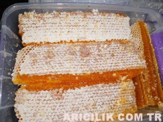 2018 Yılı Bal Sağımı - Sıfırdan Arıcılık