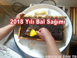2018 Yılı Bal Sağımı - Sıfırdan Arıcılık
